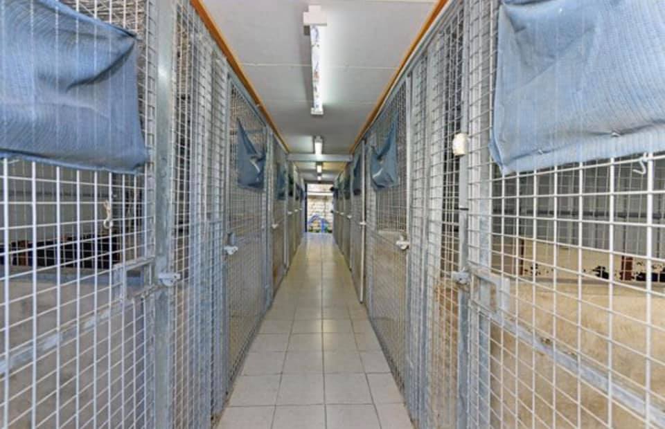 About us – Brighton Kennels and Cattery