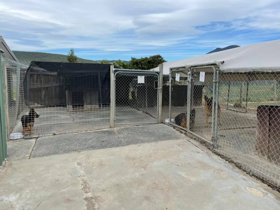About us – Brighton Kennels and Cattery