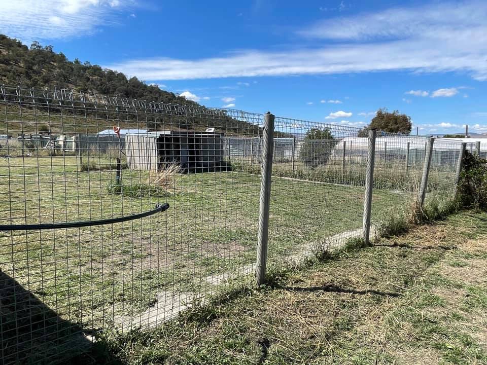 About us – Brighton Kennels and Cattery